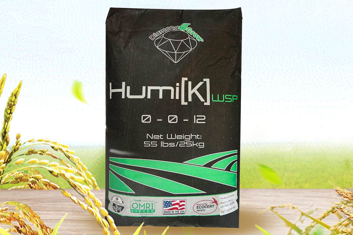 Hướng dẫn sử dụng phân Humic Mỹ: Diamond Grow® – Humi[K] WSP