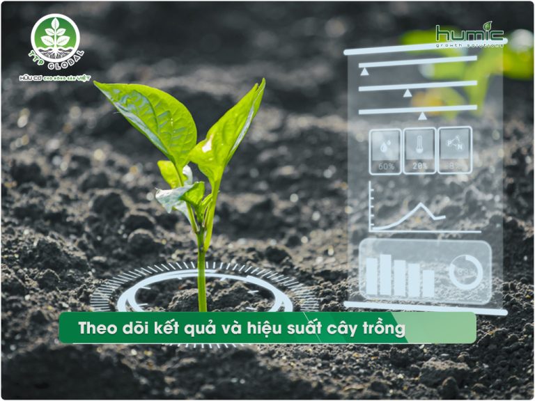Phân humic acid powder - Sự lựa chọn tốt nhất của nhà nông