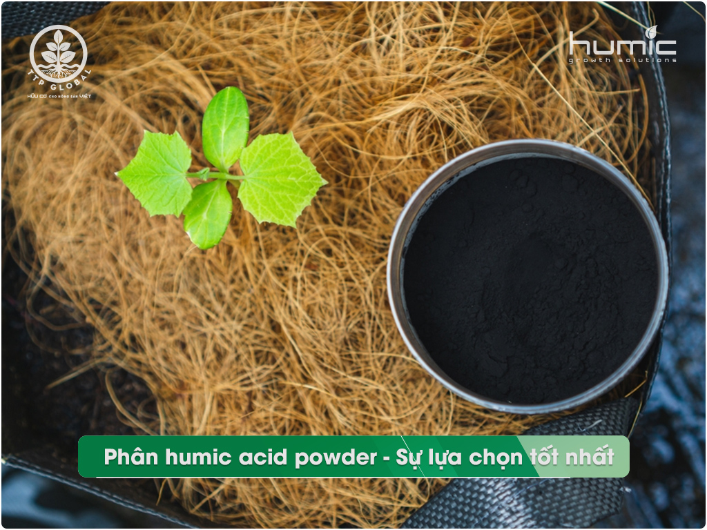 Phân humic acid powder - Sự lựa chọn tốt nhất của nhà nông
